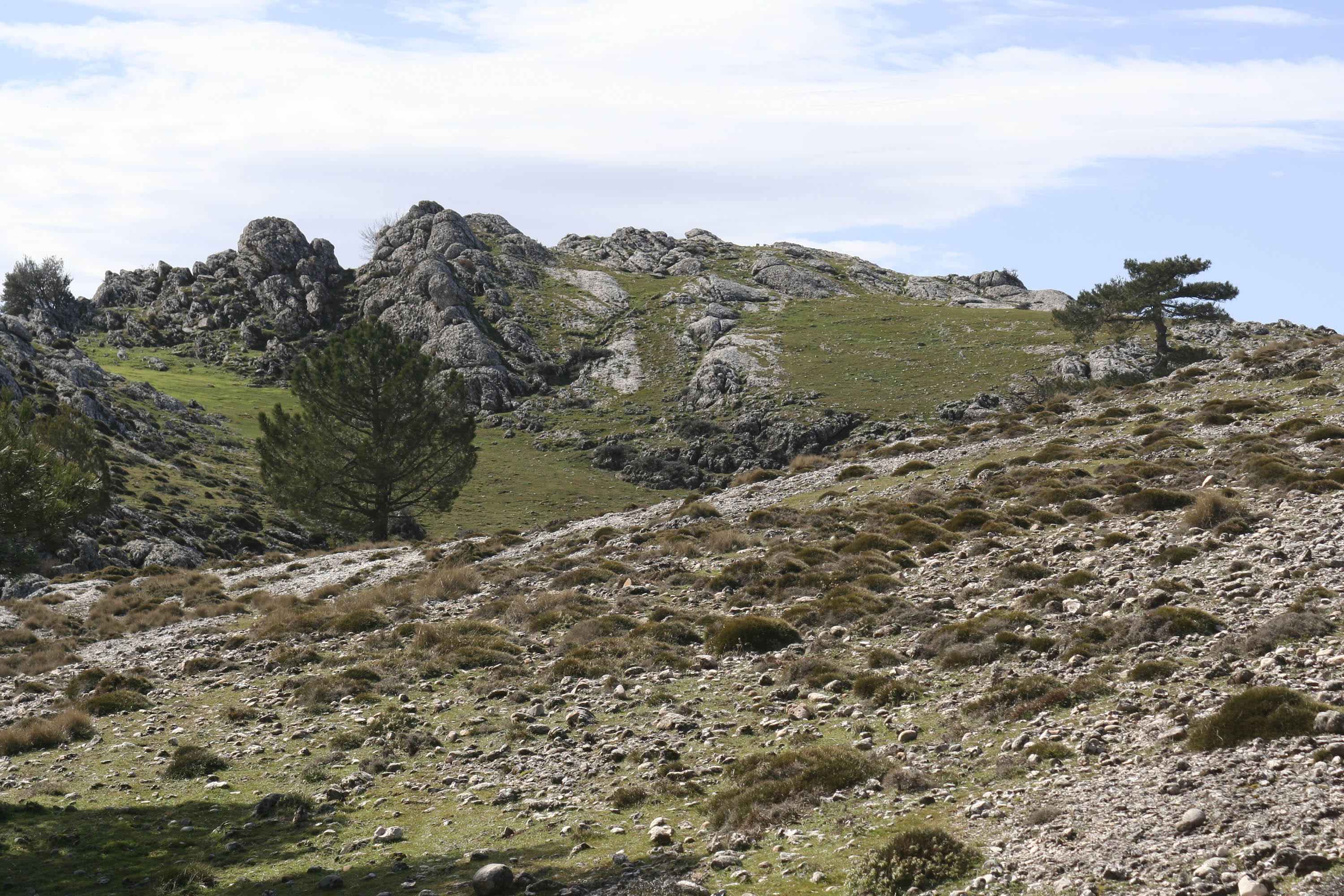 Mendikat → Tolmo, Pico del (1629 m) → Por las zonas altas el recorrido ...