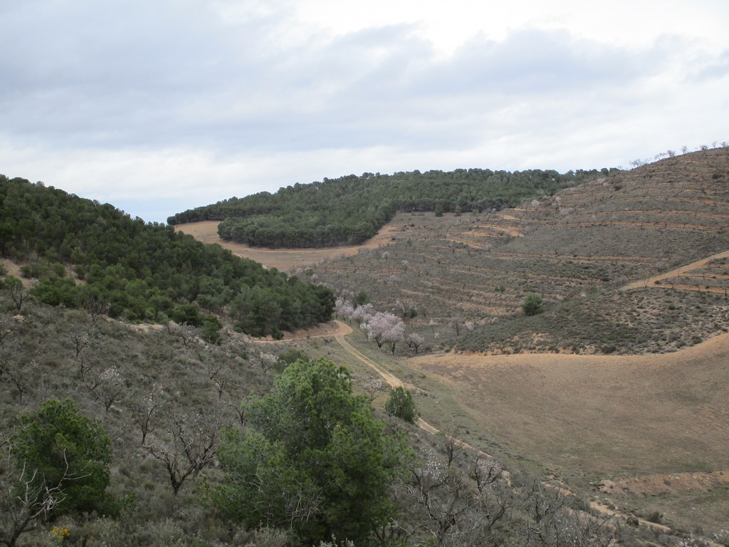 Mendikat → Valdecalera NE (601 m) → Vista N, desde la cumbre, hacia el ...