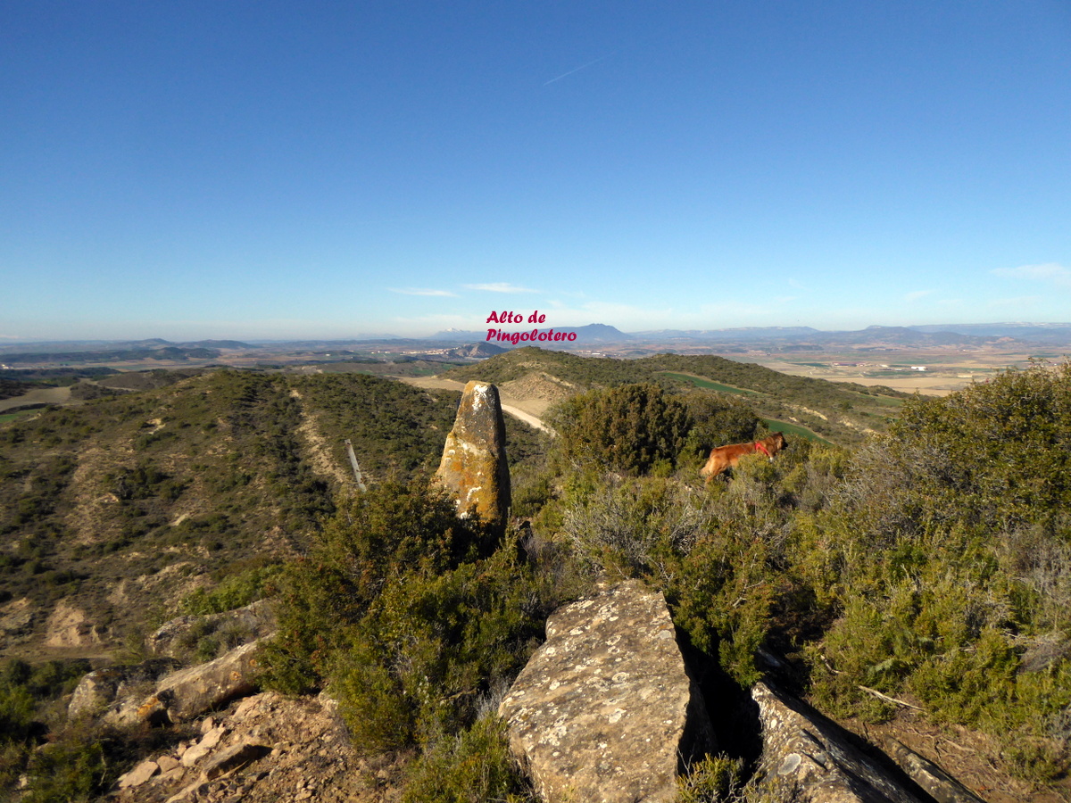 Mendikat → Pista, Alto de Pingolotero, Sierra Baja, pista. → Desde ...