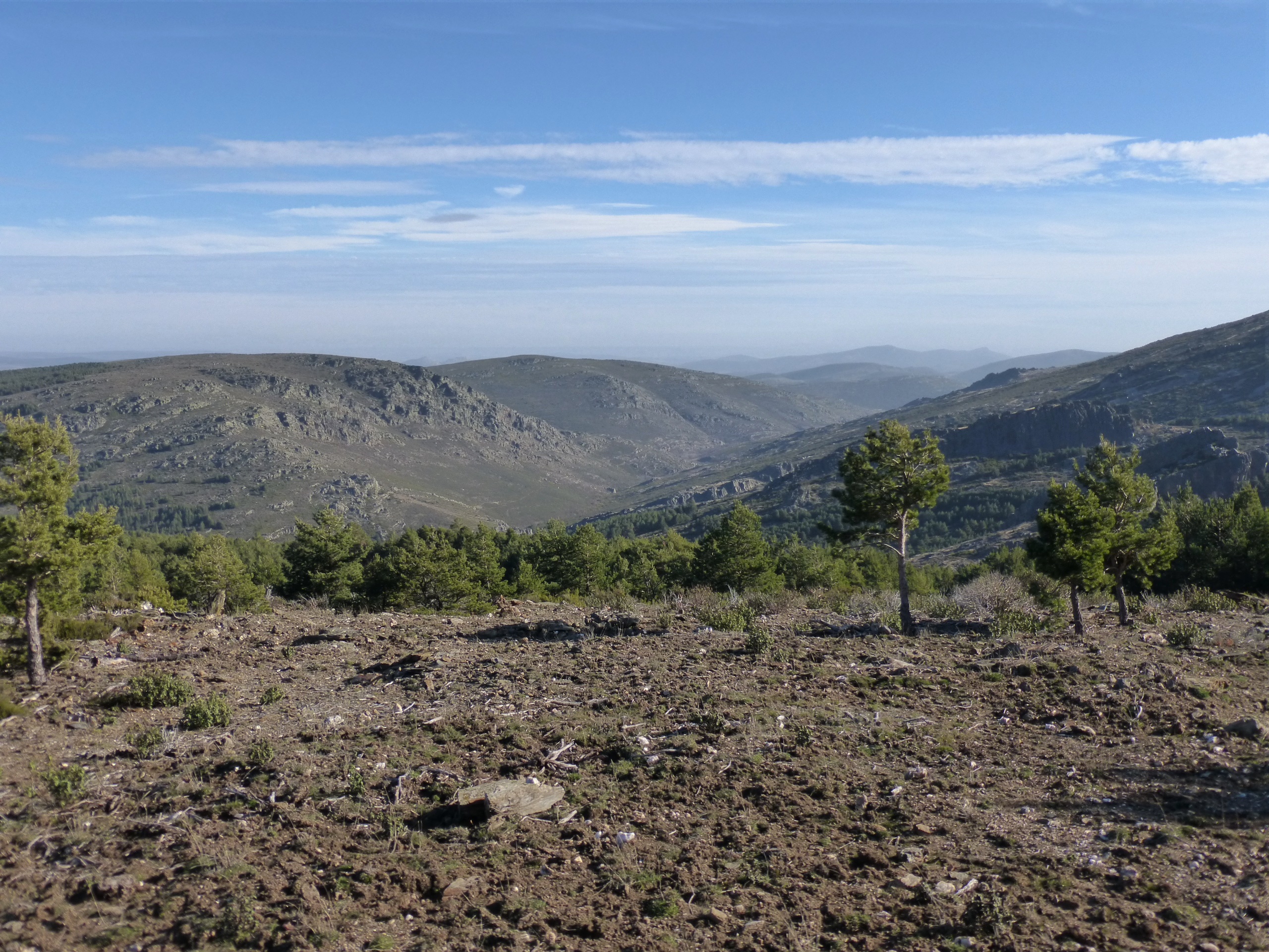 Mendikat → Sierra del Alto Rey desde Prádena de Atienza → El descenso ...