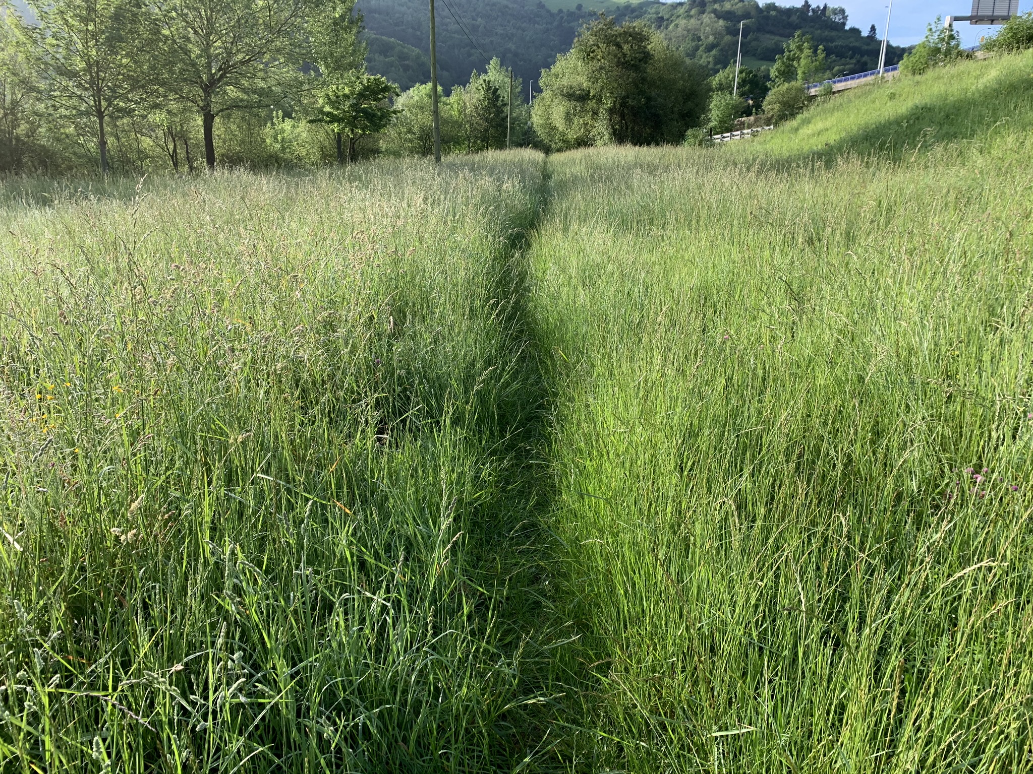 Mendikat → Circular desde el parque de Montefuerte por Bolintxu: Garikurtze
