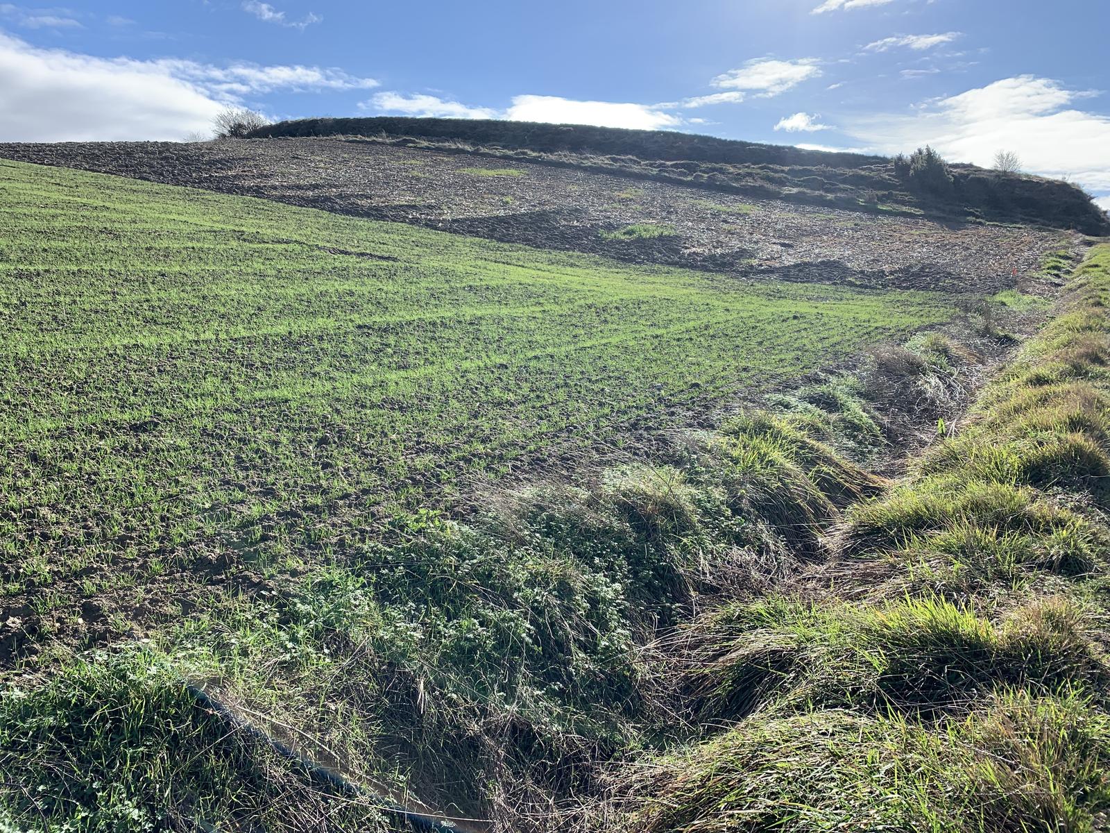 Mendikat → (Track Oiarzabal)Otazu-Gamiz-Arinetea-Tximisu-Aberasturi ...